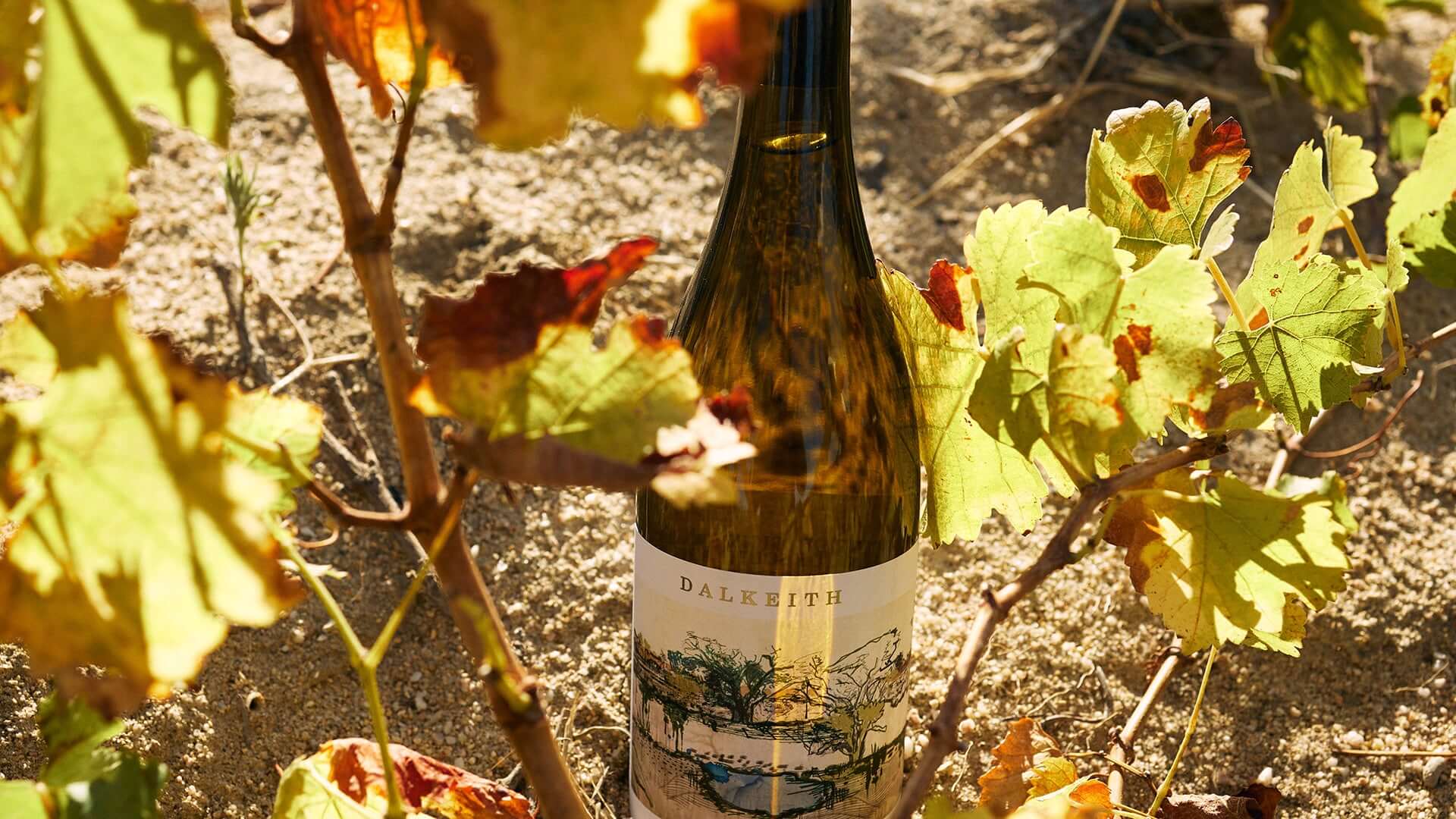 Our Wines – Dalkeith Wines